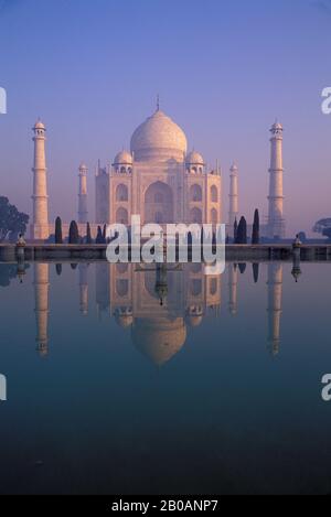INDIA, AGRA, TAJ MAHAL REFLECTING IN POOL Stock Photo - Alamy