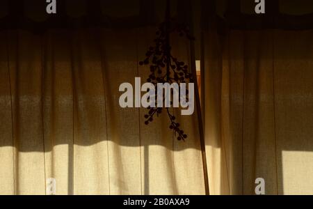 HOLIDAY SPIRIT: Red sparkled mistletoe hangs from a living room ceiling ...