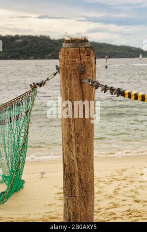 Shark Beach or Shark Bay beach with shark net Nielsen Park Vaucluse ...