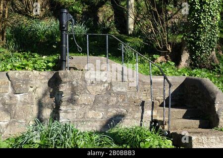 Illogan Woods, Cornwall Stock Photo - Alamy