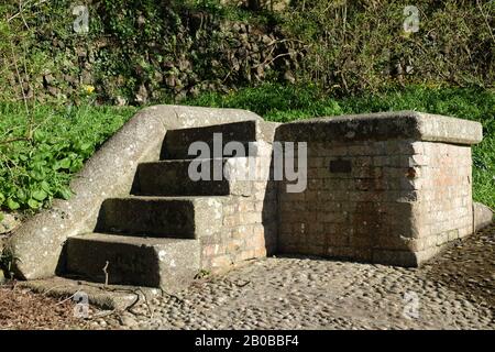 Illogan Woods, Cornwall Stock Photo - Alamy