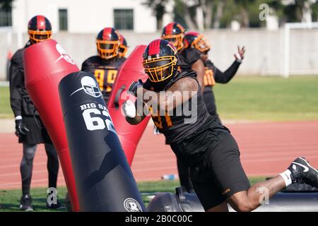 LA Wildcats defensive tackle Reggie Howard (97) during practice ...