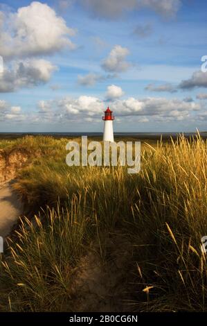 List West Lighthouse, Ellenbogen, near List, Sylt, Schleswig-Holstein ...