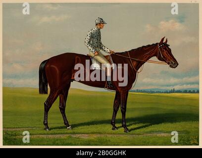 After Henry Stull, "Foxall", 1881, lithograph on paper Stock Photo - Alamy