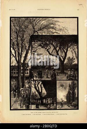 Julian Walbridge Rix, Elms on the Battery, 1885, wood engraving on ...