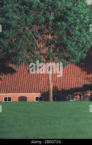 Countryside landscape during spring. Grassy field with trees and wooden ...