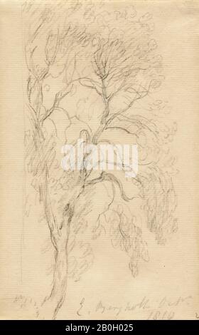 John Constable, Study of an Ash Tree, East Bergholt, October 1810 ...