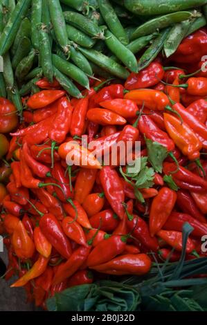 PERU, AMAZON BASIN, IQUITOS, BELEM, VIEW OF HOUSES ALONG RIVER Stock ...