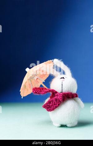 Rabbit with Umbrella Stock Photo - Alamy