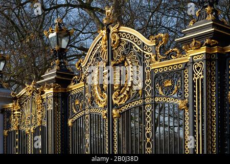 Wrought iron gates of the Buckingham Palace, in the back the St James ...