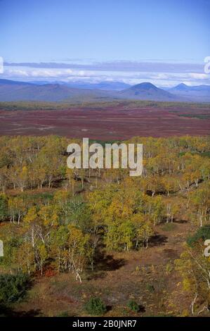 Zhupanovsky volcano, Kamchatka Stock Photo - Alamy