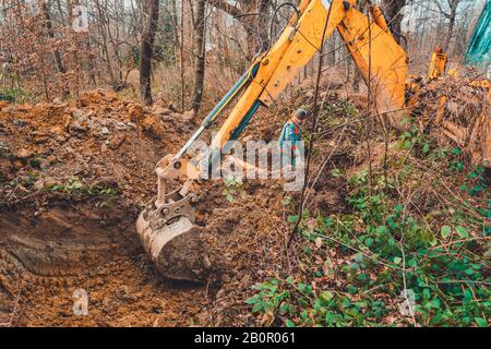 An excavator in the forest digs a ladle for fish breeding Stock Photo ...