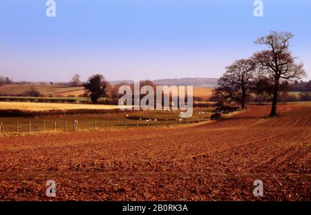 footpath, path, worcestershire, harvington hall, countryside, walking ...