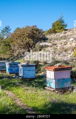 Cypriot traditional blue wooden Bee Hives, BeeKeeping, honey bee ...