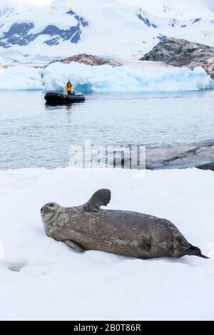 An iceberg off Useful Island, Antarctic Peninsular in the mist Stock ...