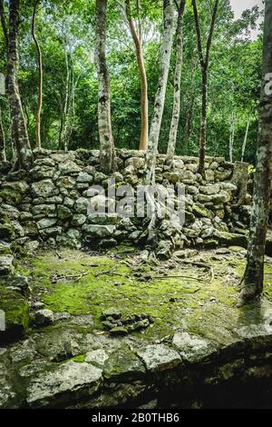Tulum Archiological Site in Quintana Roo, Mexico Stock Photo - Alamy