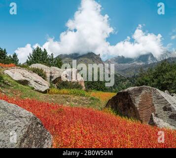 The Rakchham village in Himachal Pradesh surrounded by beautiful ...