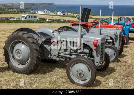 Restored Old Grey Ferguson Tractors on display at a rural show ...