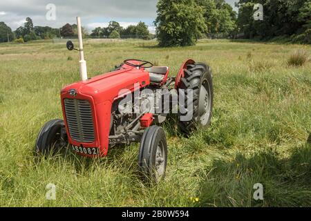 massey ferguson 35 tractor in bright red paintwork at a vintage tractor ...