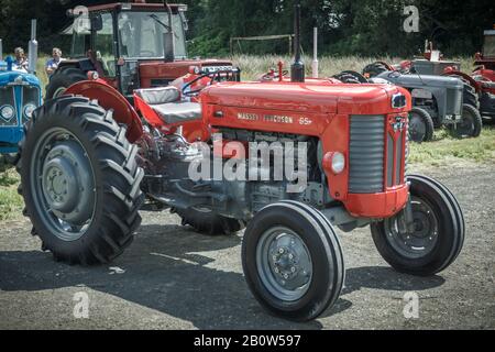 Massey Ferguson 65 tractor restored and on display at a vintage rally ...