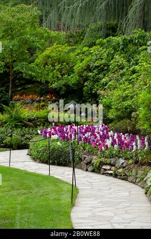 Pathway winding in garden Stock Photo - Alamy