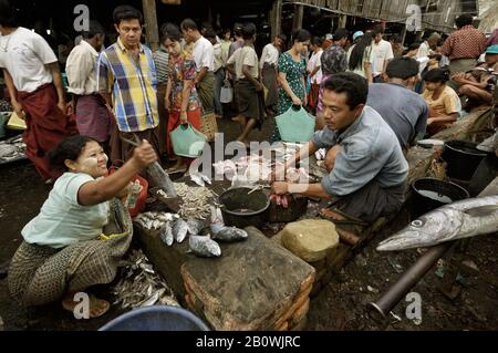 Customer and fishmonger at Sittwe fish market, Rakhine State, Myanmar ...