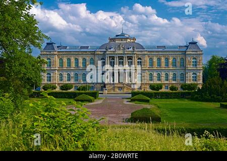 Gotha Ducal Museum in the Palace Park, Gotha, Thuringia, Germany Stock ...