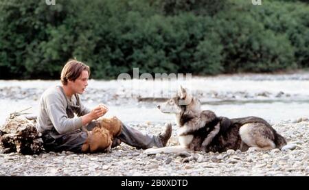 WHITE FANG 1991 Walt Disney Pictures film with Ethan Hawke Stock Photo ...