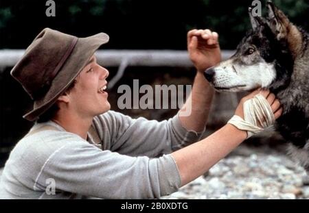 WHITE FANG 1991 Walt Disney Pictures film with Ethan Hawke Stock Photo ...
