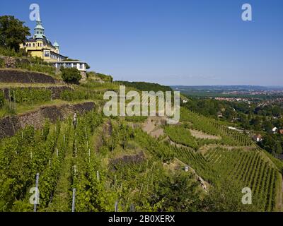 Spitzhaus restaurant with vineyard in Radebeul, Saxony, Germany Stock ...
