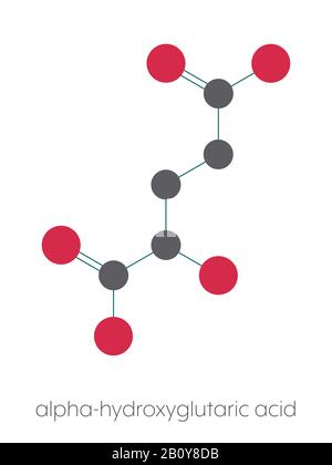 2-hydroxyglutarate molecule, illustration Stock Photo - Alamy