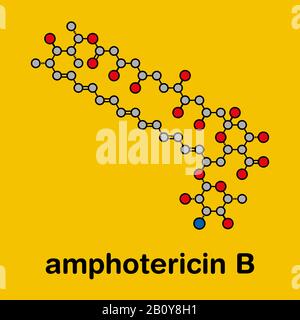 Amphotericin B antifungal drug molecule Stylized skeletal formula ...