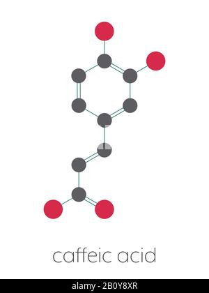 Caffeic acid molecule, illustration Stock Photo - Alamy