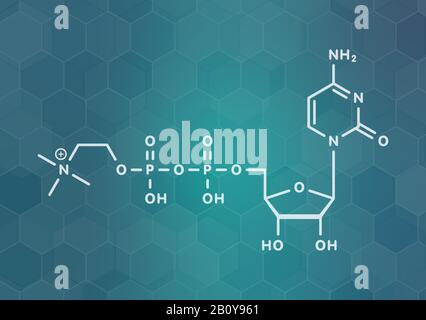 Citicoline, CDP-choline, cytidine diphosphate-choline molecule. It is ...