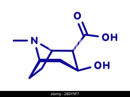 Ecgonine coca alkaloid molecule, illustration Stock Photo - Alamy