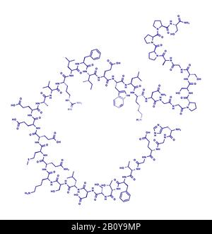 Exenatide diabetes drug molecule, illustration Stock Photo - Alamy