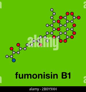 Fumonisin B1 mycotoxin molecule. Fungal toxin produced by some Fusarium ...
