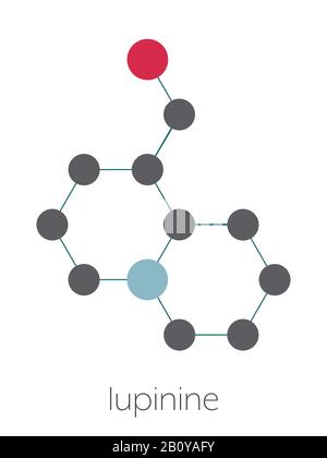 Lupinine lupin alkaloid molecule, illustration Stock Photo - Alamy
