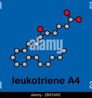 Leukotriene A4 molecule, illustration Stock Photo - Alamy