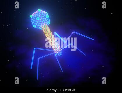 Illustration of bacteriophage Stock Photo - Alamy