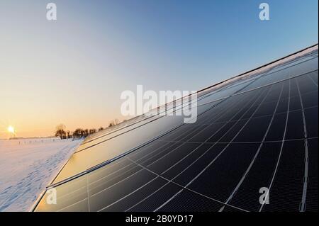 Germany, Schleswig-Holstein, Dithmarschen, solar cowshed at Süderdeich ...