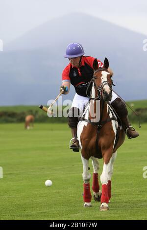 Tyrella House Polo player Richard Suitor at Tyrella House, County Down ...
