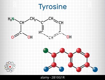 Tyrosine (l-tyrosine, Tyr, Y) amino acid molecule. Skeletal formula ...
