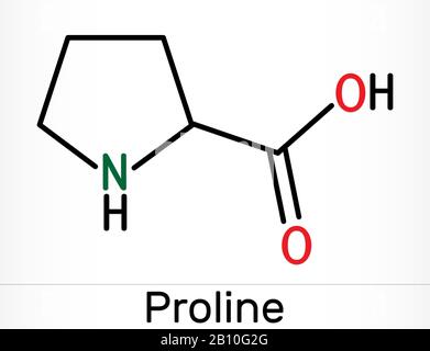 Proline (l-proline, Pro) amino acid molecule. Stylized skeletal formula ...