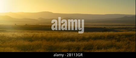 The Great Karoo area in South Africa Stock Photo - Alamy