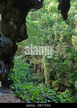 Mangaia Caves, Polynesia, Cook Islands Stock Photo - Alamy