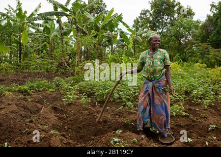 Female peasant at work, Uganda, Africa Stock Photo - Alamy