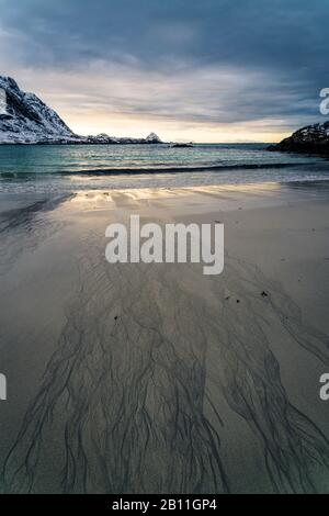A rocky beach and snow covered mountains border Bockfjorden ...