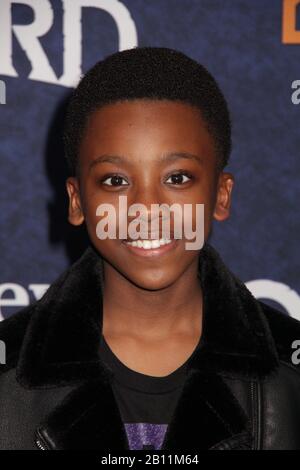 Ramon Reed 02/18/2020 The World Premiere of "Onward" held at The El ...