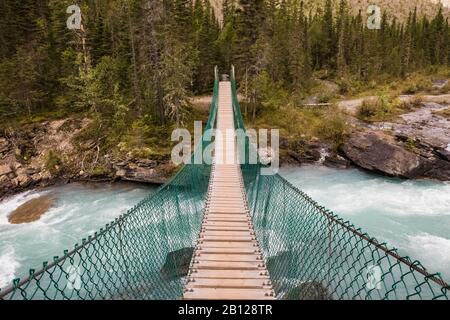 Suspension bridge for hikers crossing the Robson River at Whitehorn ...